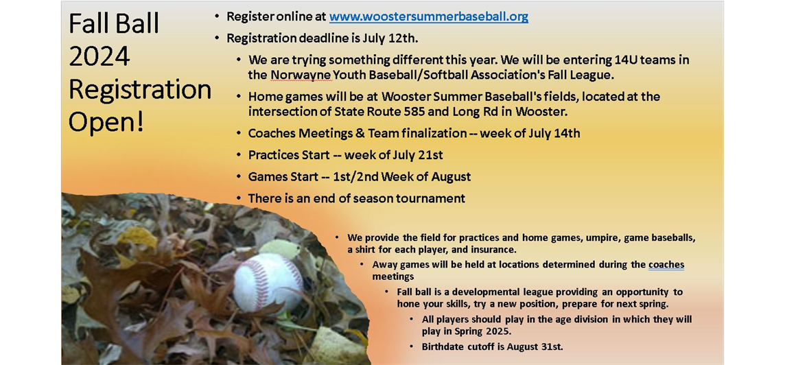 Home [www.woostersummerbaseball.com]